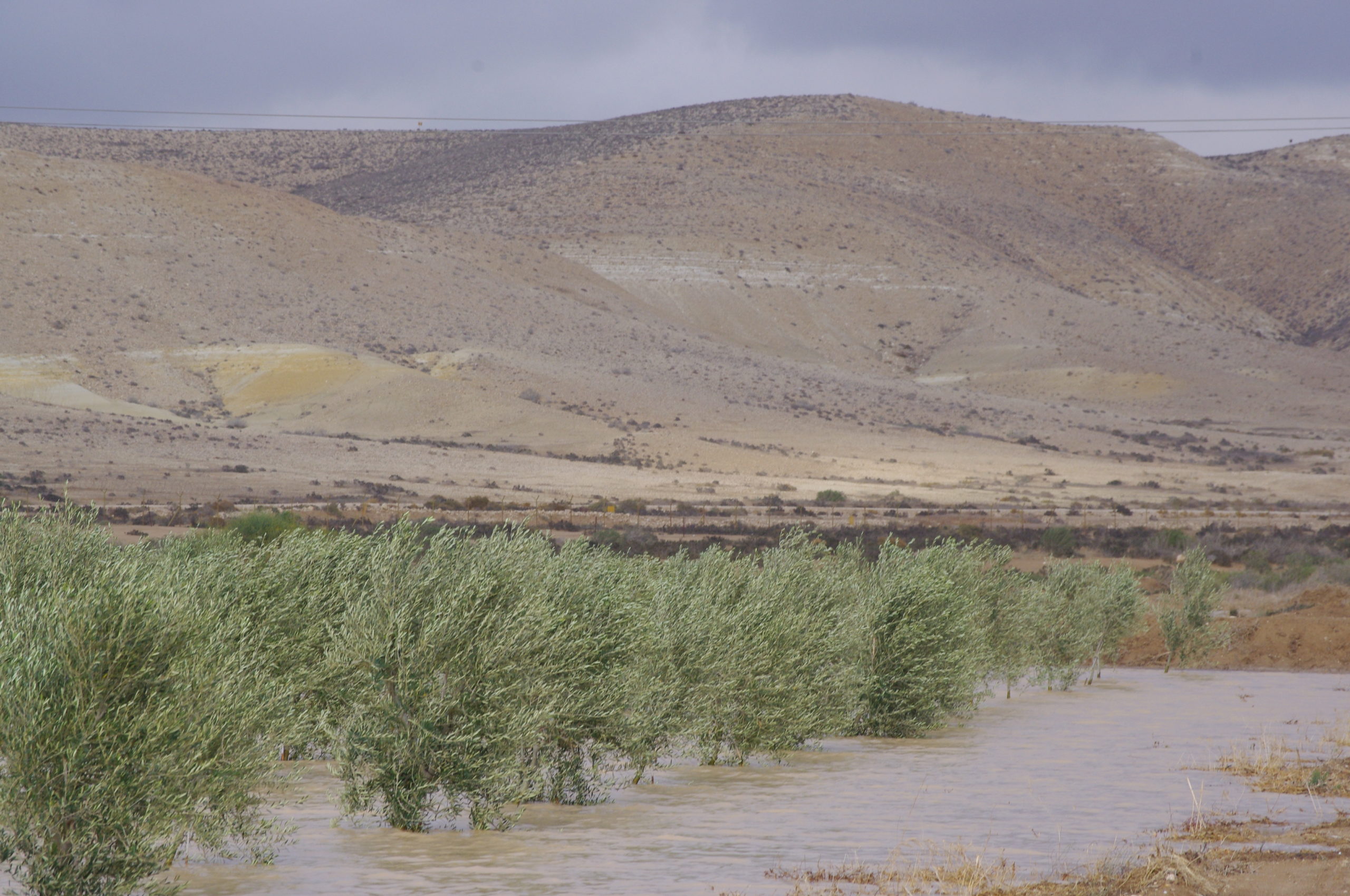 Pushing Back the Desert with Ancient Wisdom - A4BGU