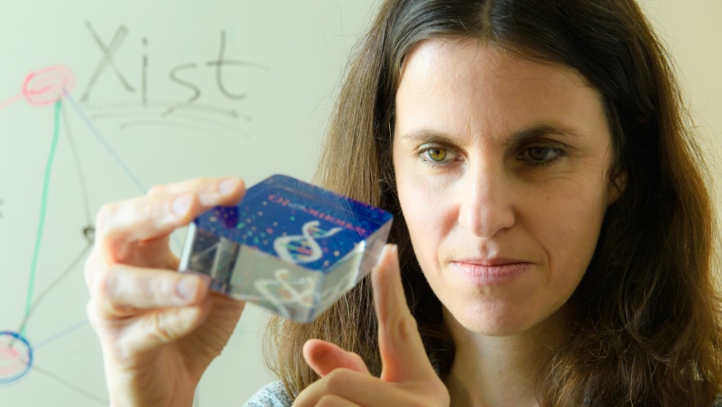 Men Are More Prone to Illness Than Women - A4BGU