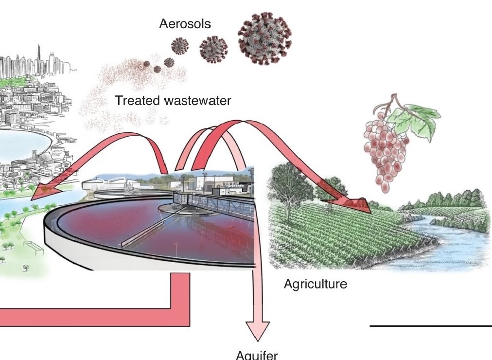 COVID-19 in Wastewater Poses Serious Health Threat - A4BGU